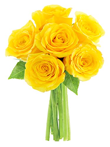 Bouquet of Long Stemmed Yellow Roses (Half Dozen) - Without Vase ... Bouquet of Long Stemmed Yellow Roses (Half Dozen) - Without Vase ...